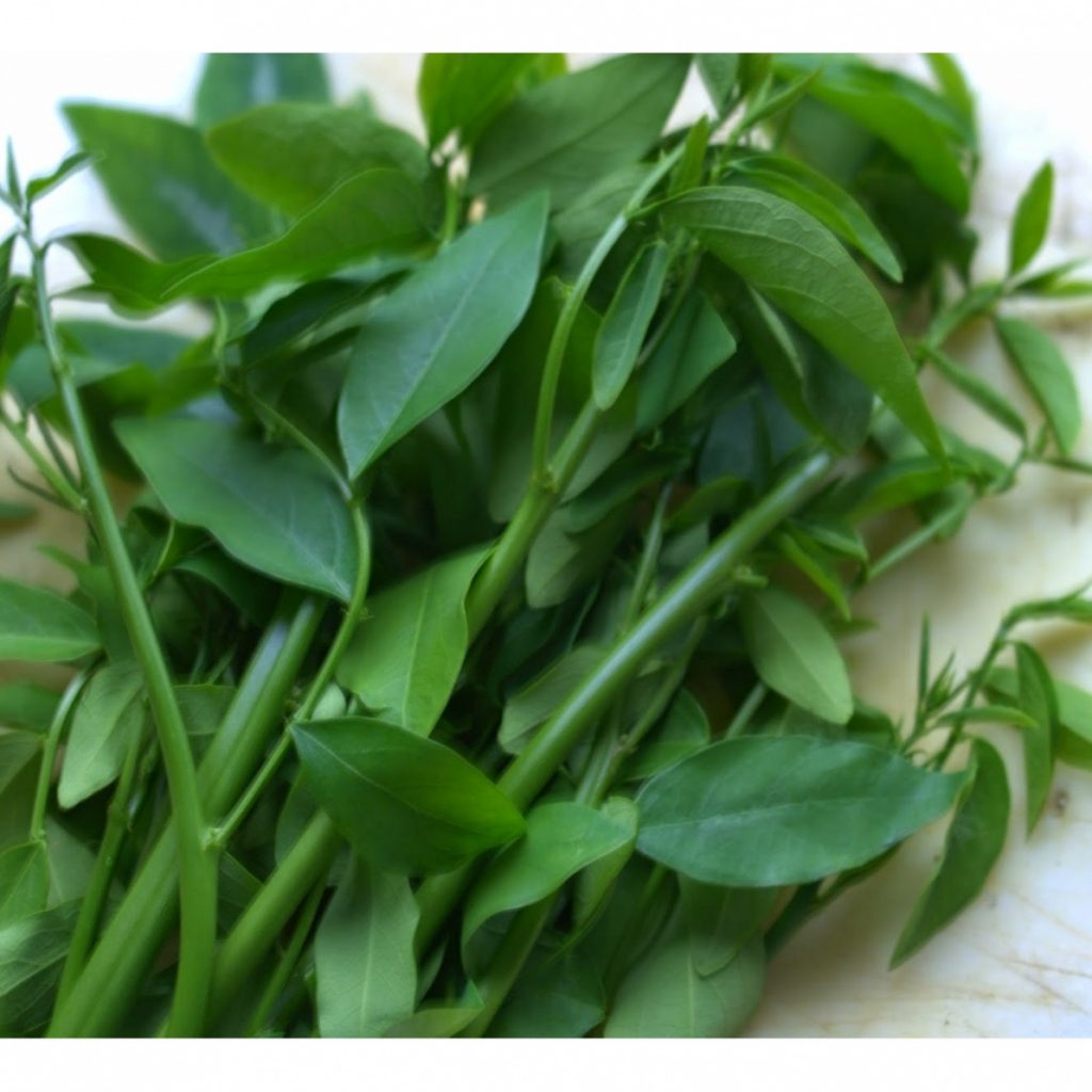 Sweet Shoots / Pucuk Manis – Chin Woh – Vegetables & Fruits Supplier in ...